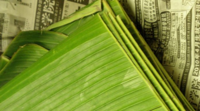 Tambah Ilmu Cara Nak Simpan Daun Pisang Agar Tahan Lebih Lama Keluarga