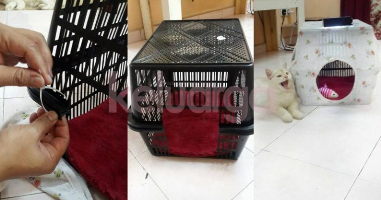DIY Rumah Kucing Paling Sempoi, Mudah Sangat, Guna Raga Je!