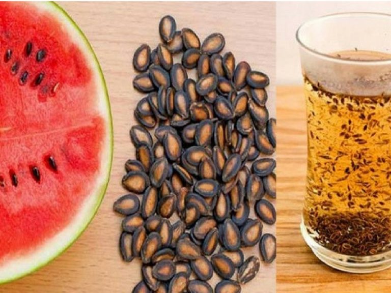 Biji buah tembikai jangan dibuang, ada manfaat dan khasiat untuk ...