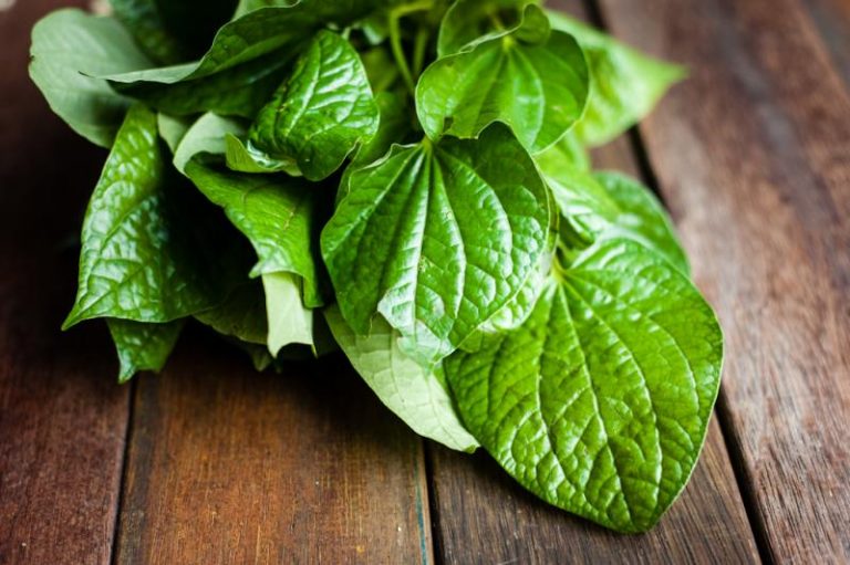 Resipi Talam Sagu Lemak Manis Ikut Sukatan Cawan. Cukup Mudah, Sedap ...