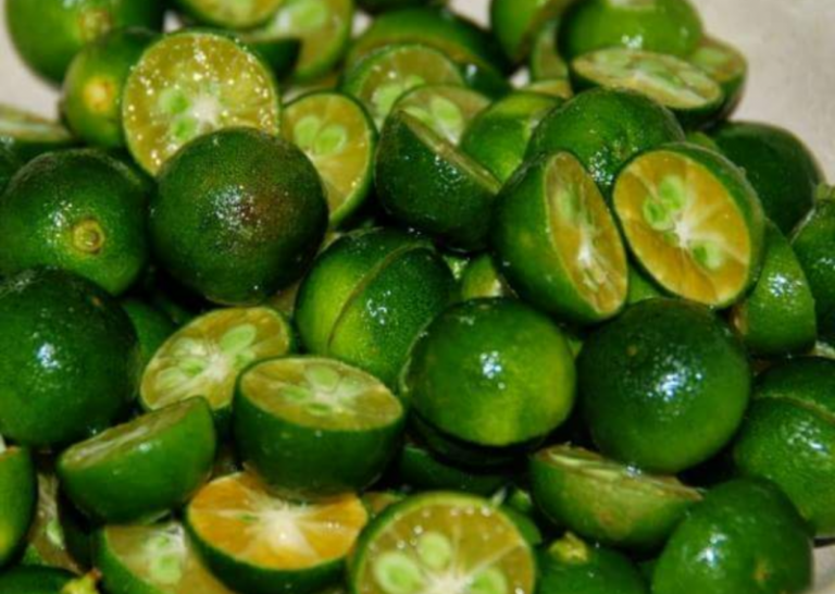 Limau Kasturi Sebagai Penawar Sakit Kepala. Ada 5 Lagi Manfaatnya Yang ...