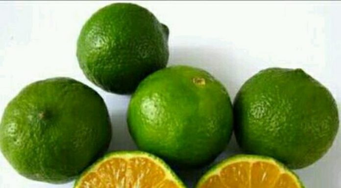 Garam Celtic, Letak Secubit Dalam Air Suam, Minum Waktu Sahur, Elak ...