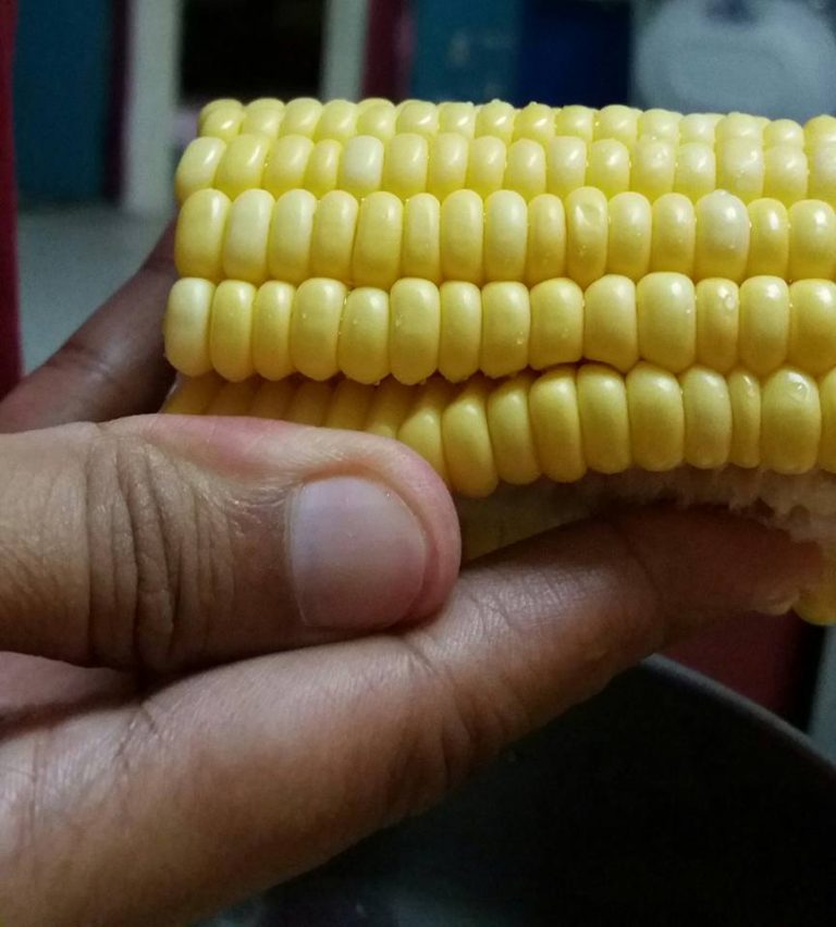 Resipi Talam Sagu Lemak Manis Ikut Sukatan Cawan. Cukup Mudah, Sedap ...