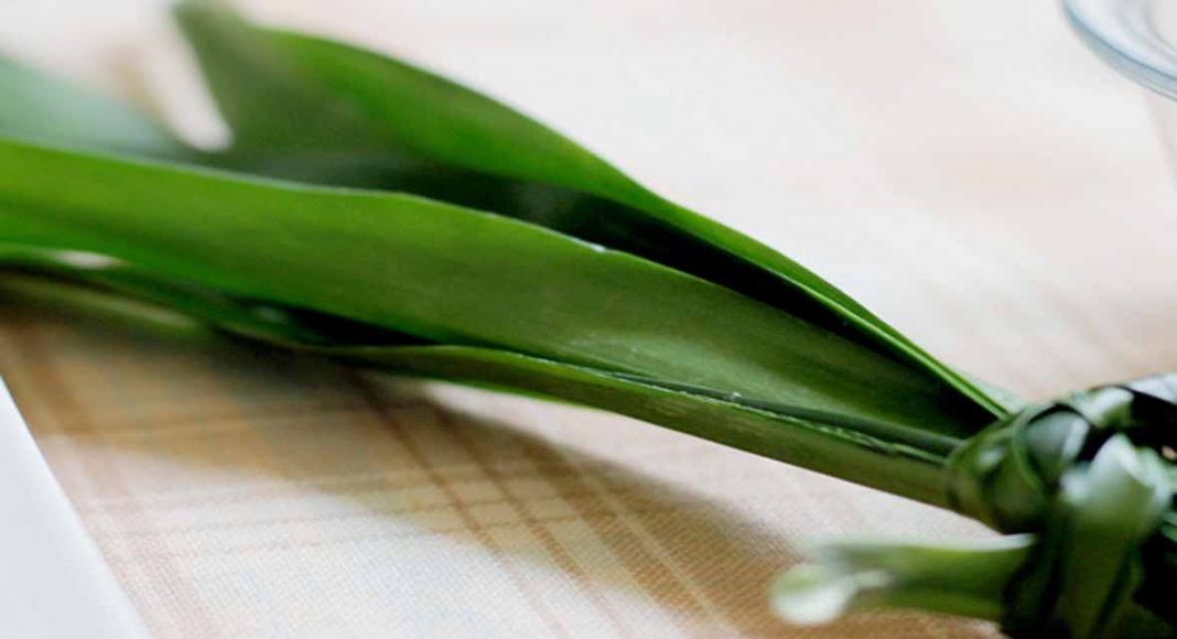 Petua Selamat Halau Lipas Guna Bahan Dari Dapur Jer. Bukan Tu Jer ...
