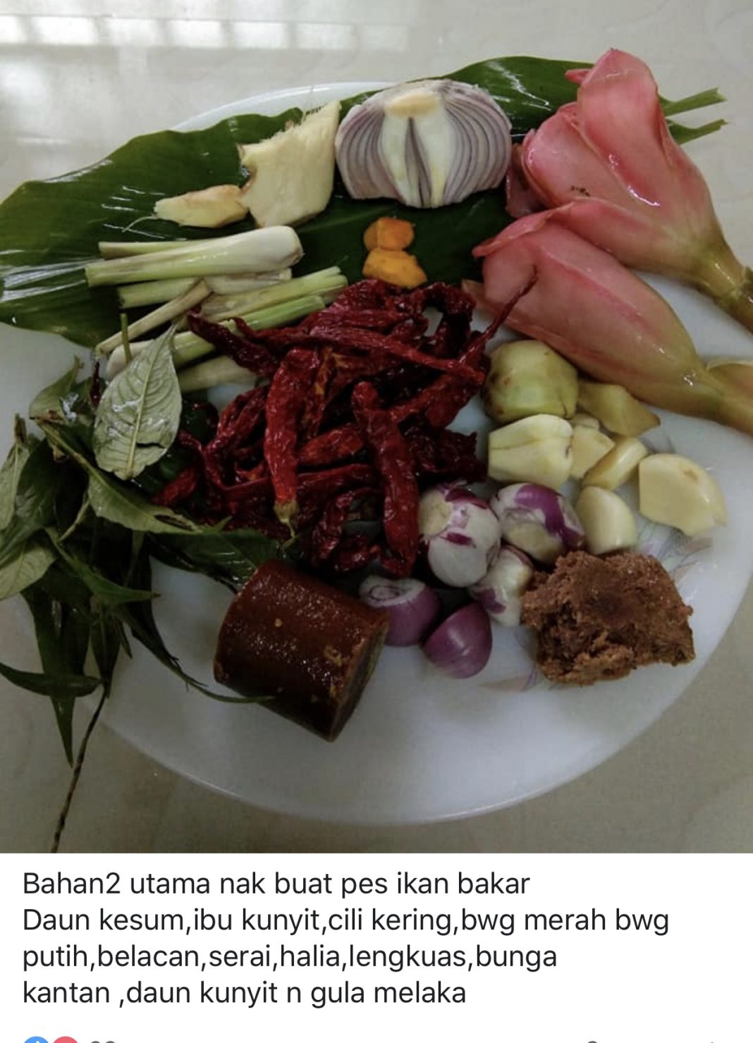 Wanita Ini Kongsi Resepi Pes Ikan Bakar. Rasapun Ala Makan Di Kedai ...