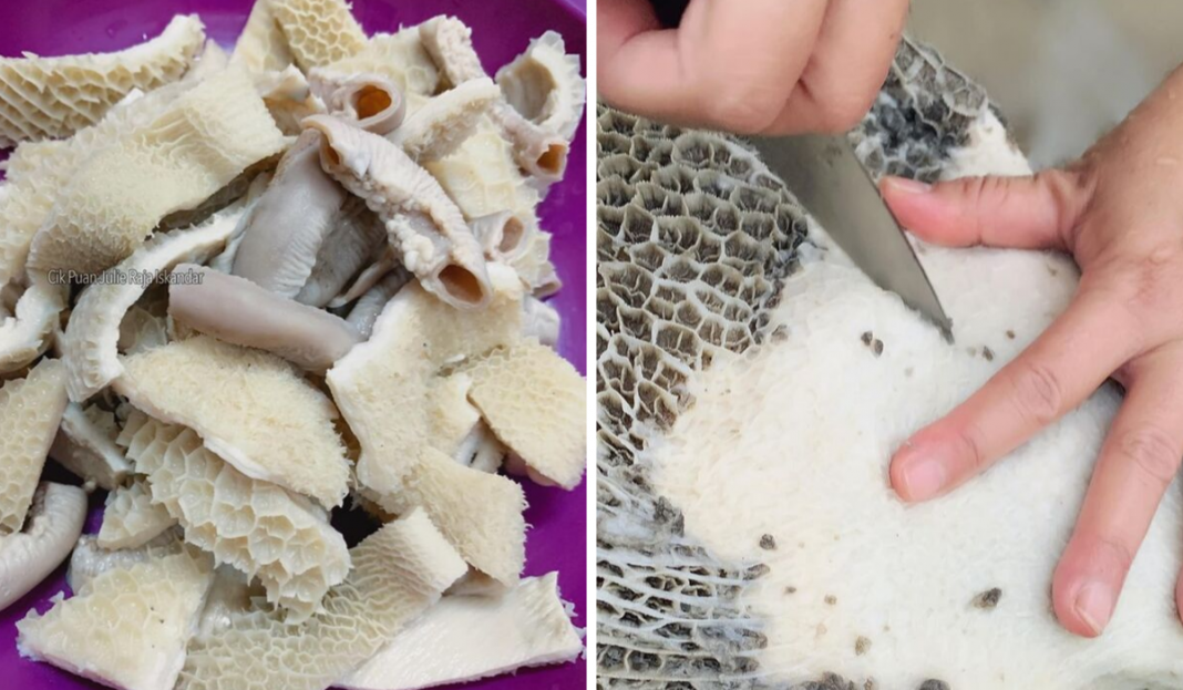 Perut Lembu Putih Bersih Jadinya Kalau Buat Ikut Cara Wanita Ni ...