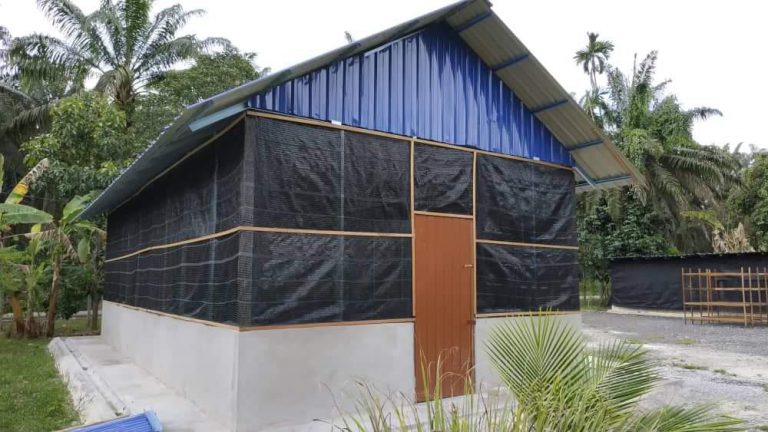 Projek Tanam Cendawan Tepi Rumah Beri Rezeki Keluarga Ni!