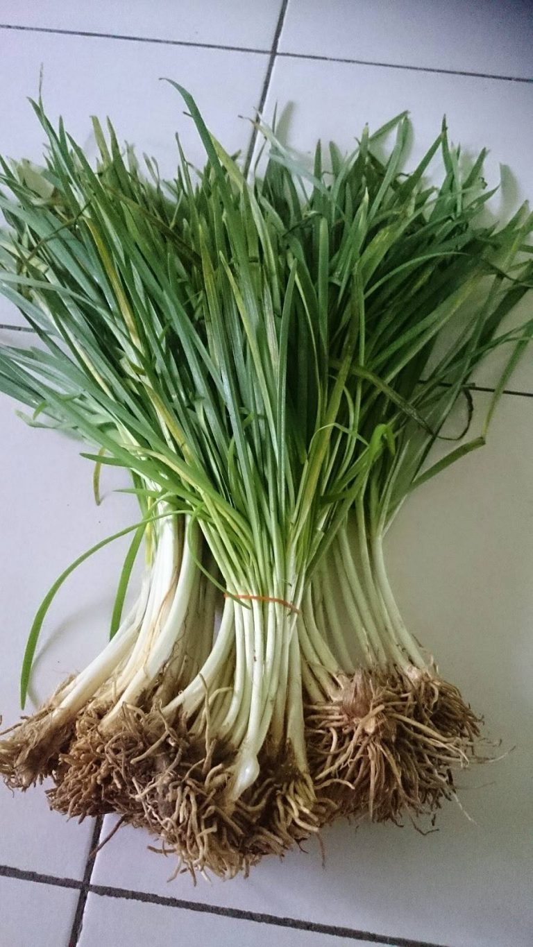 “Cara Menabung Orang Boros." Wanita Ni Kongsi Tip Simpan Duit Ikut ...