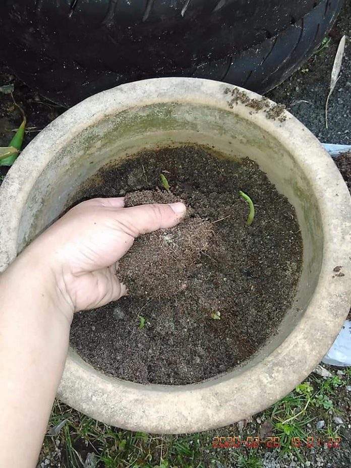 DIY Rak Pasu Bunga, Buat Sendiri Guna Besi Rosak. Hasilnya Tetap Elok ...