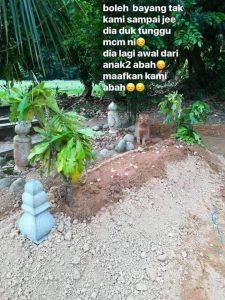 Nasi Ayam Paling Simple, Tapi Rasanya Memang Terlajak Sedap! - KELUARGA