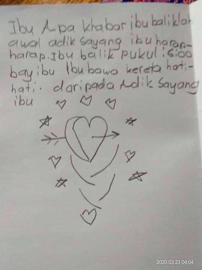 Membaja Tanaman Dalam Pasu, Begini Caranya Bagi Mak-mak Yang Beginner ...