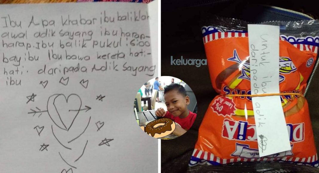 Membaja Tanaman Dalam Pasu, Begini Caranya Bagi Mak-mak Yang Beginner ...