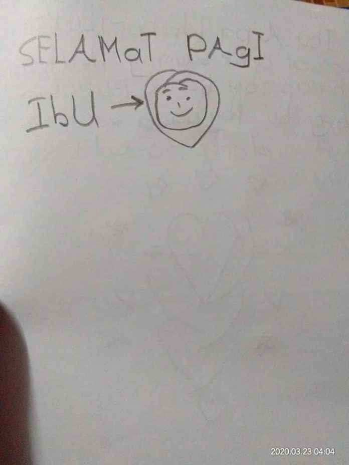 Membaja Tanaman Dalam Pasu, Begini Caranya Bagi Mak-mak Yang Beginner ...