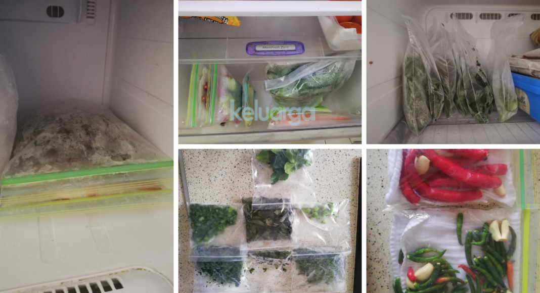 Buatkan Bilik Kucing Cantik & Tak Berbau. Wanita Ni Kongsikan, Boleh ...