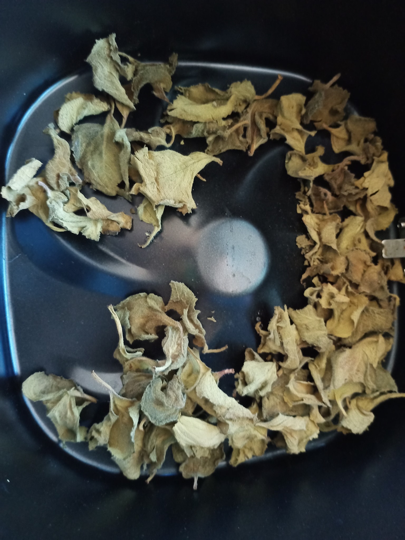 Buat Sendiri Botok-botok Yang Sedap & Juicy, Begini Cara Buatnya ...