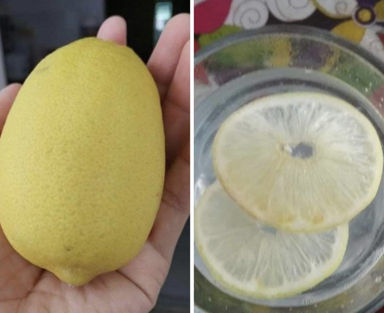 Khasiat Jus Lemon Memang Superb! 15 Kelebihan Yang Kita Kena Tahu.