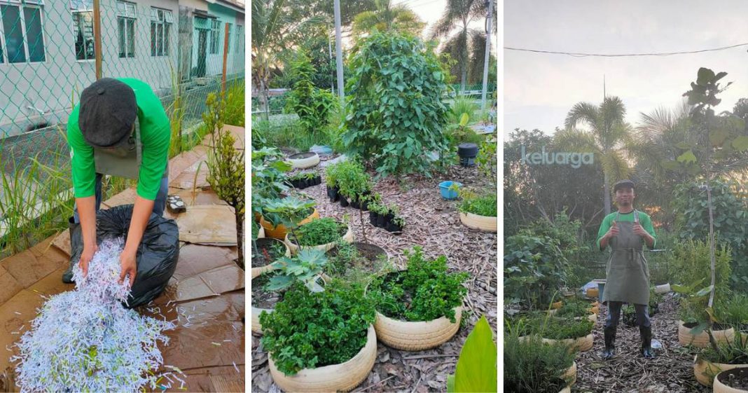 Cara Hapuskan Rumput & Lalang Di Kebun, Guna Kotak & Kertas Terpakai Je ...