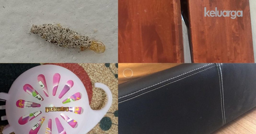 Patutlah Asyik Selsema Dan Batuk, Rupanya Ada Ulat Habuk. Wanita Ini ...