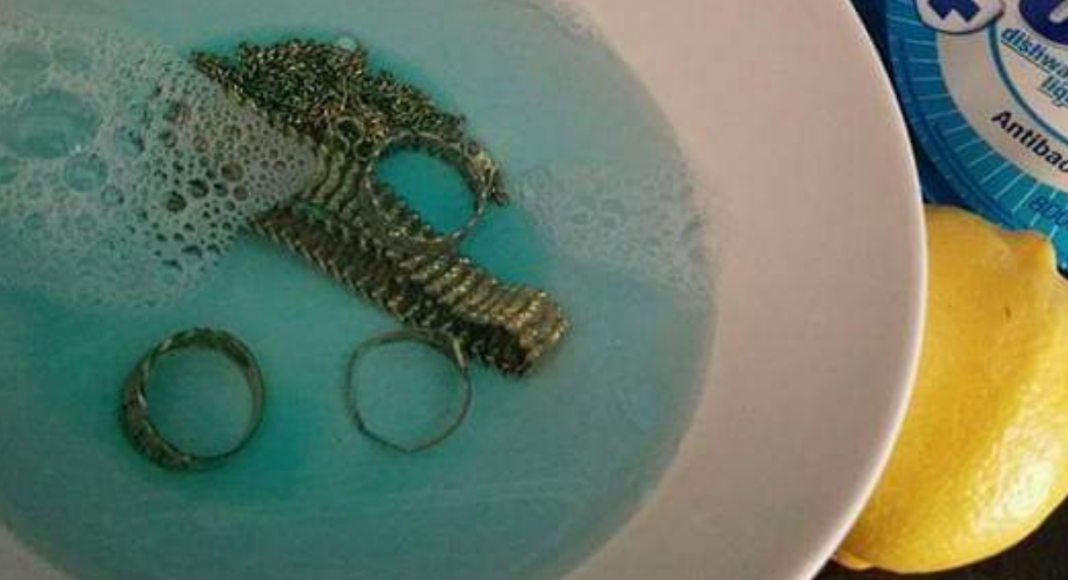 Membaja Tanaman Dalam Pasu, Begini Caranya Bagi Mak-mak Yang Beginner ...