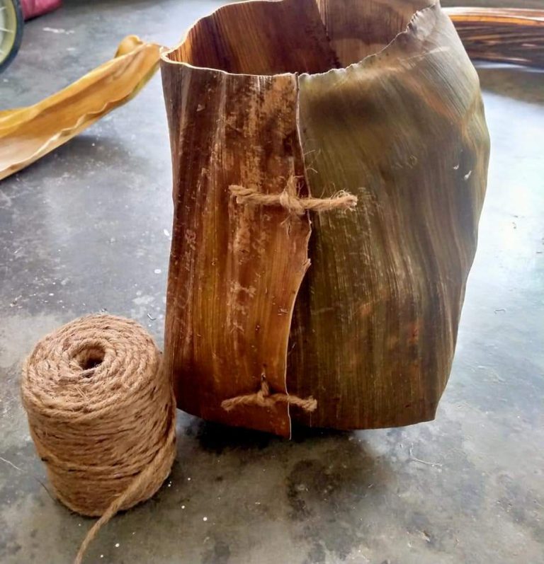 Pelepah Pinang Buat Bekas Bunga Macam Ni. Nampak Klasik & Wow Sangat!
