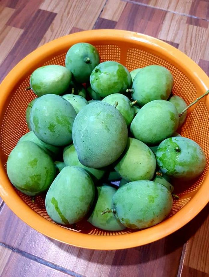Jeruk Mangga Epal. Nak Bagi Rangup & Sedap Rasanya, Begini Cara Buatnya!