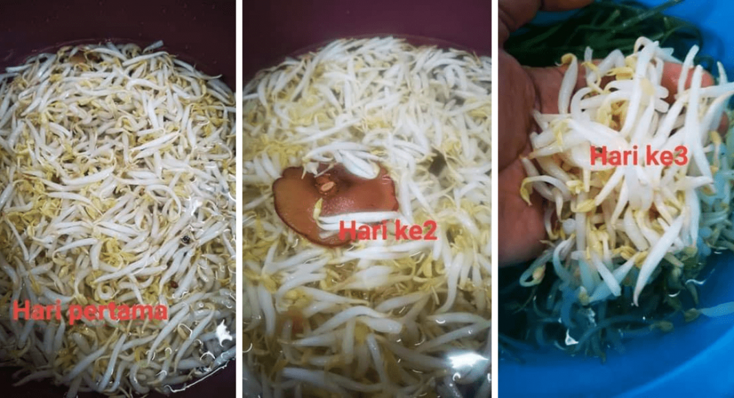 24 Jenis Apam, Pilih Je Mana Yang Berkenan Semuanya Sedap. Ni ...