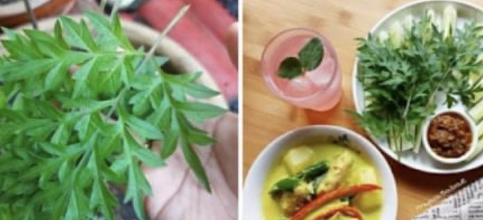 Buat Sawi Masin Sabahan Style, Enak Dimasak Macam-macam Menu! - Keluarga
