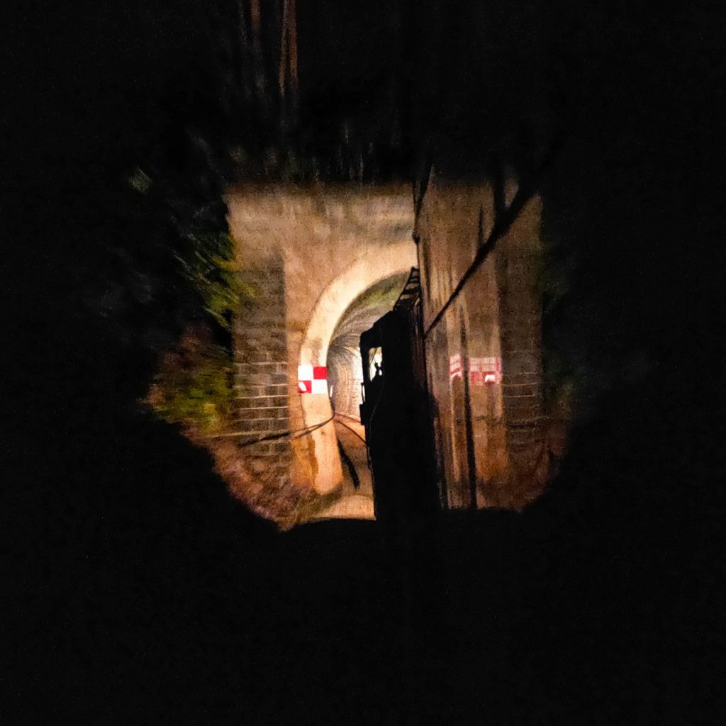 Relaks Dan Tenang, Lelaki Ini Kembara Guna Keretapi Shuttle Pantai ...