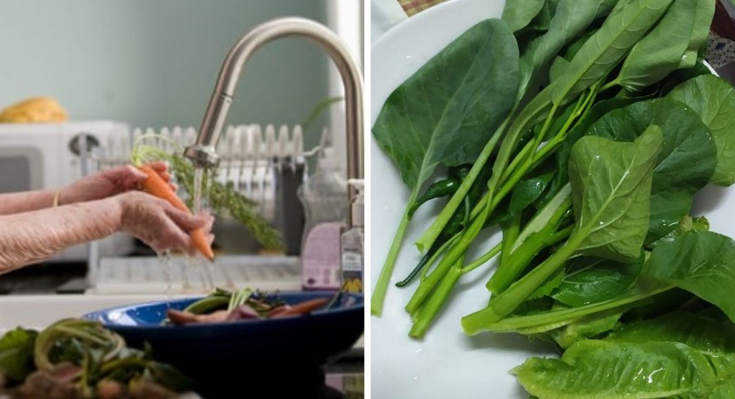 Sayur & Ulam Yang Dimakan Nak Pastikan Betul-betul Bersih, Begini ...