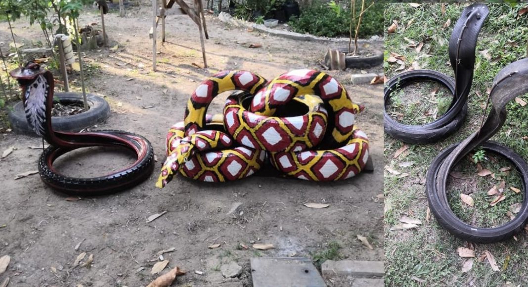 Nak Halau Monyet Masuk Kebun, Ular Sawa Nampak 'Real' Hanya Guna Tayar ...