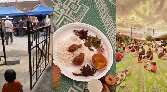 Membaja Tanaman Dalam Pasu, Begini Caranya Bagi Mak-mak Yang Beginner ...