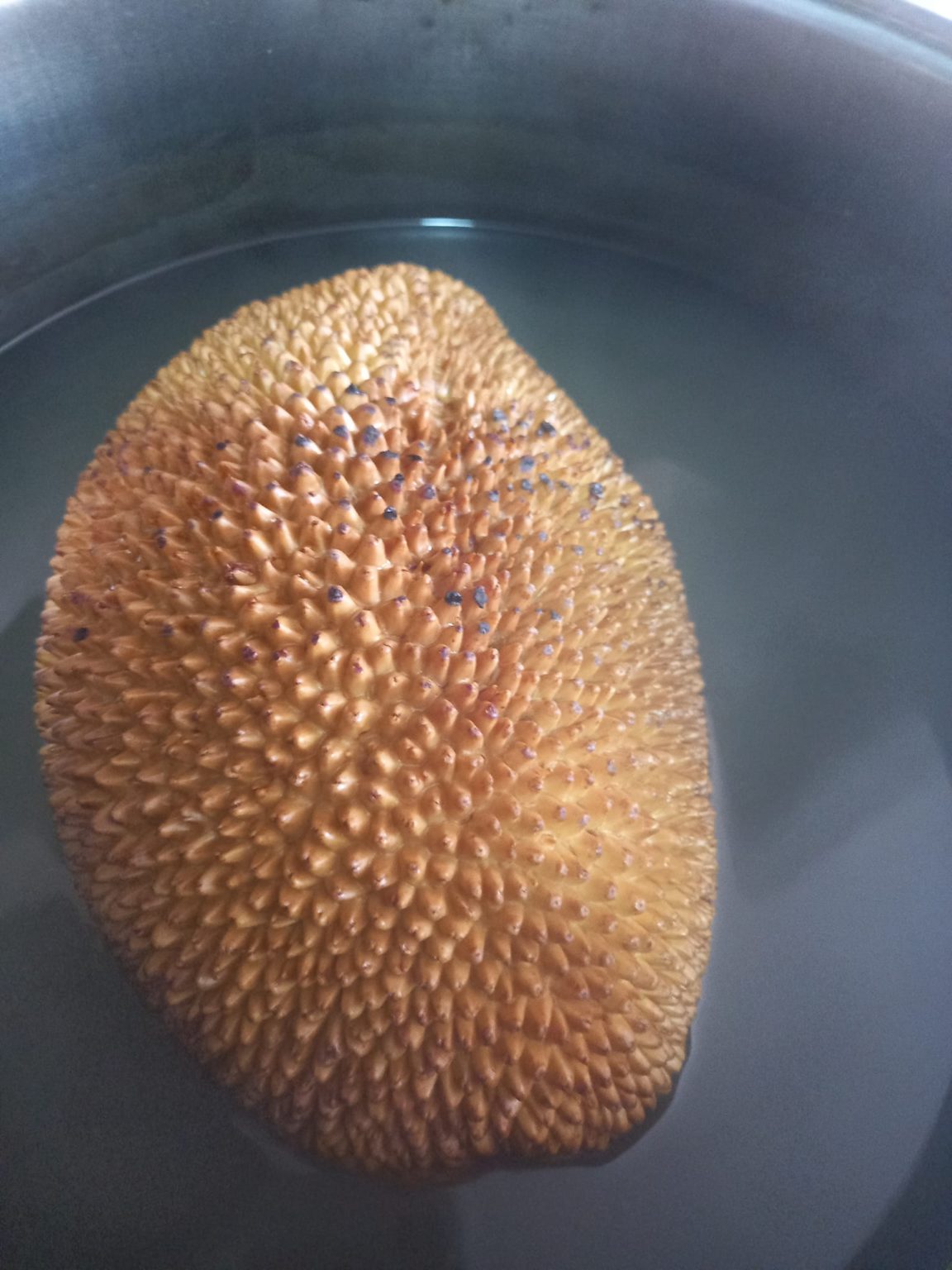 Rebus Nangka Sebiji-sebiji, Barulah Getah Tak Melekat Di Pisau & Isi ...