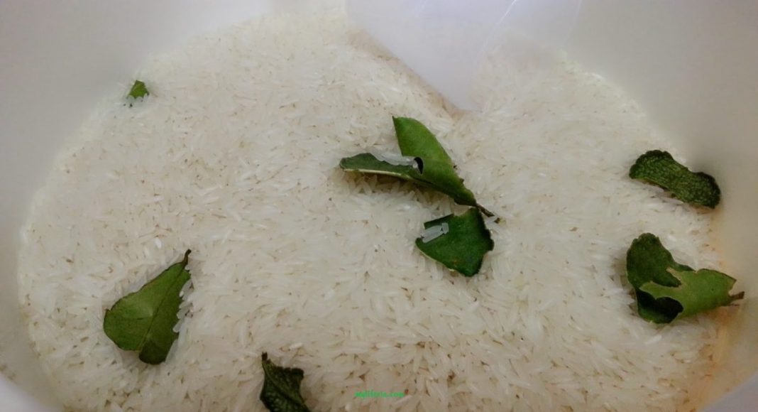 Geli Lihat Kutu Beras Dalam Bekas? Ini Cara Mudah Dan Selamat Untuk Halau