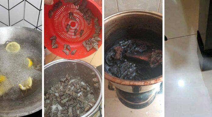 Koleksi Petua Bantu Mudahkan Kerja-kerja Di Rumah