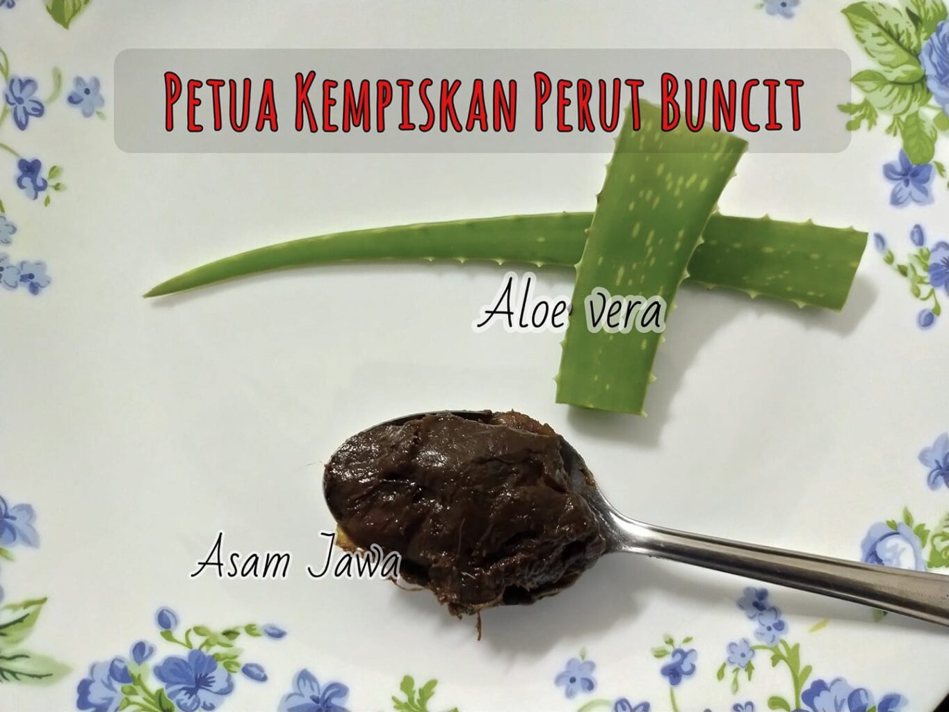 Daun Lidah Buaya & Asam Jawa, Perut Yang Buncit Jadi Rata Semula