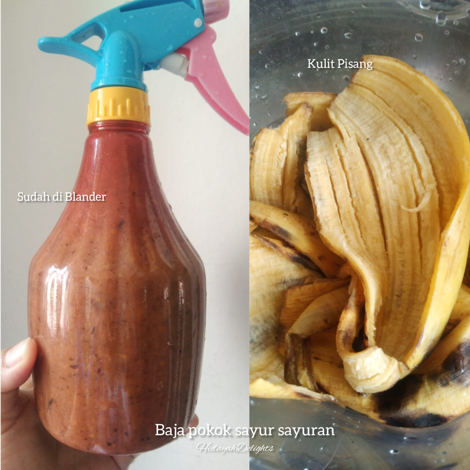 DIY Baja Kulit Pisang & Kulit Telur, Pokok Kunyit, Kari Membiak Subur